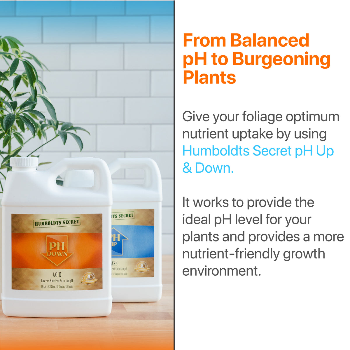 PH Up & Down Bundle – Humboldts Secret Supplies